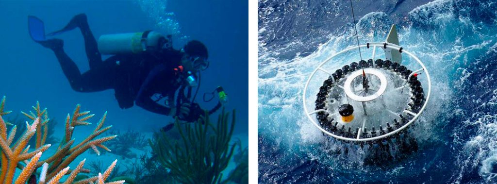 Oceanografía – Bathymetric Solutions